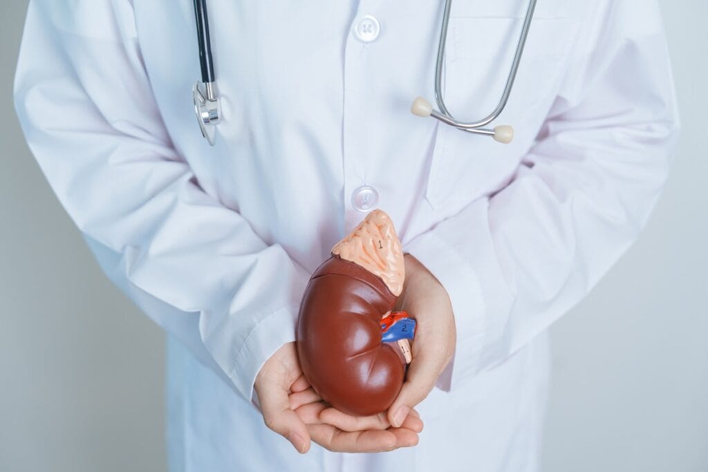 Cólica Renal: cuidados que você precisa tomar em uma crise